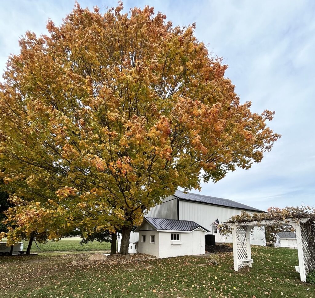 Weddings - Historical Octagon House & Farm